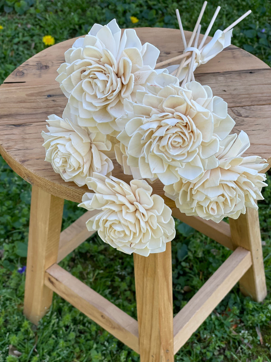 All Sola Wood Flowers – The Sola Flower Store