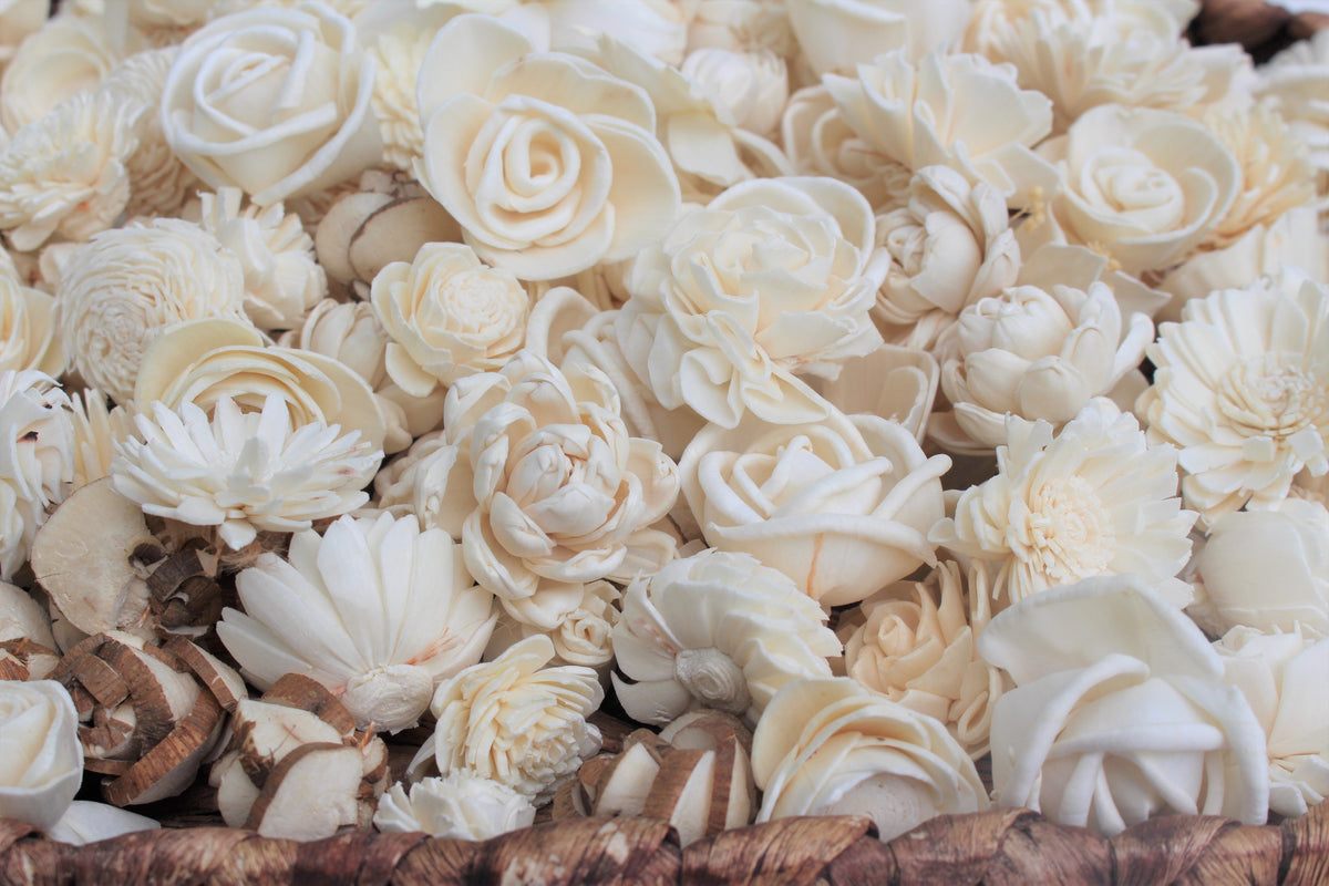 50 Assorted Mini Sola Wood Flower Assortment – Sola Flower Store