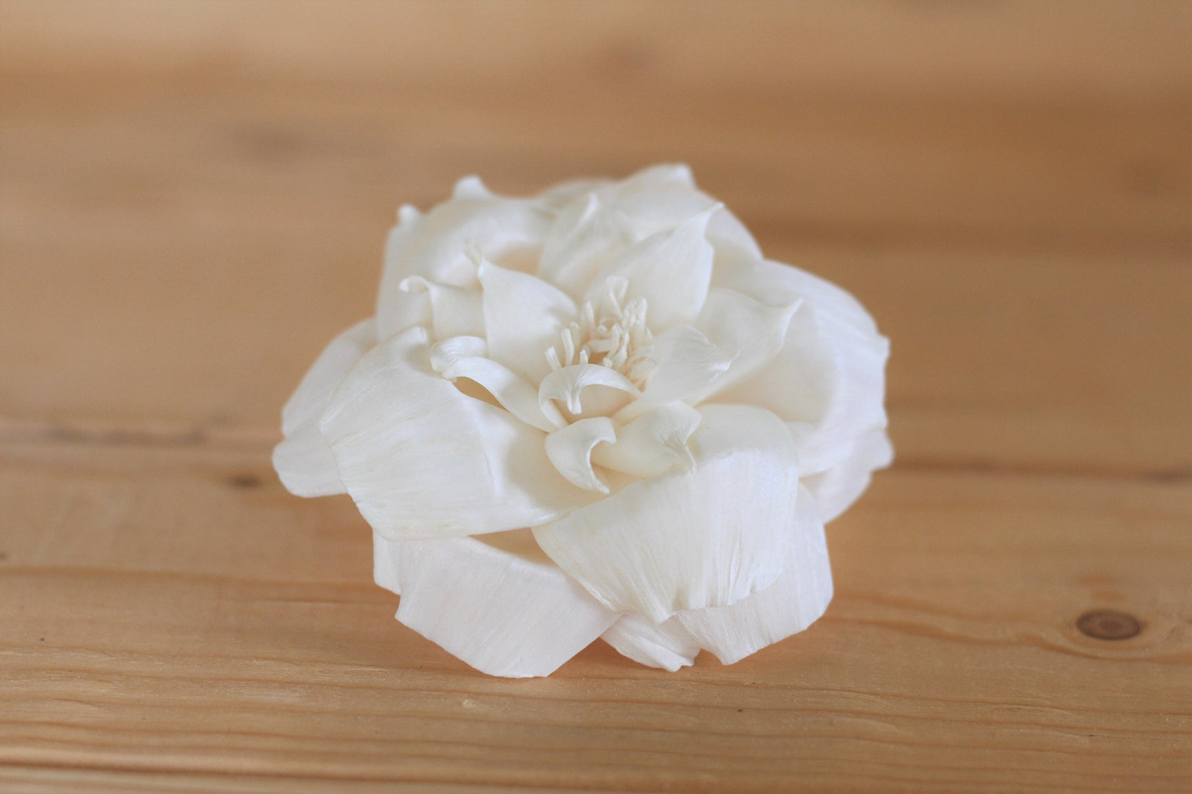 Sola Wood French Roses 2.5" - Pack of 6 – Sola Flower Store