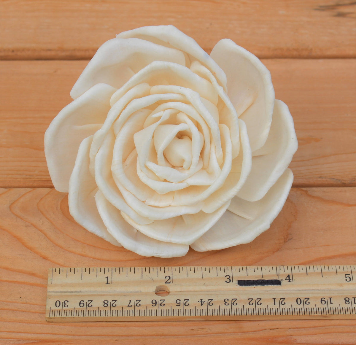 Large 4" Sola Wood Enchantment Roses – Sola Flower Store