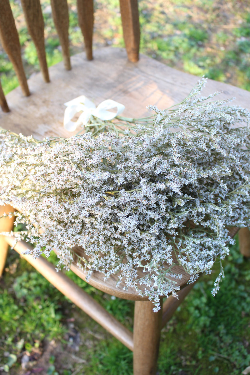 German Statice/ Dried Floral/ Bouquet Filler – Sola Flower Store